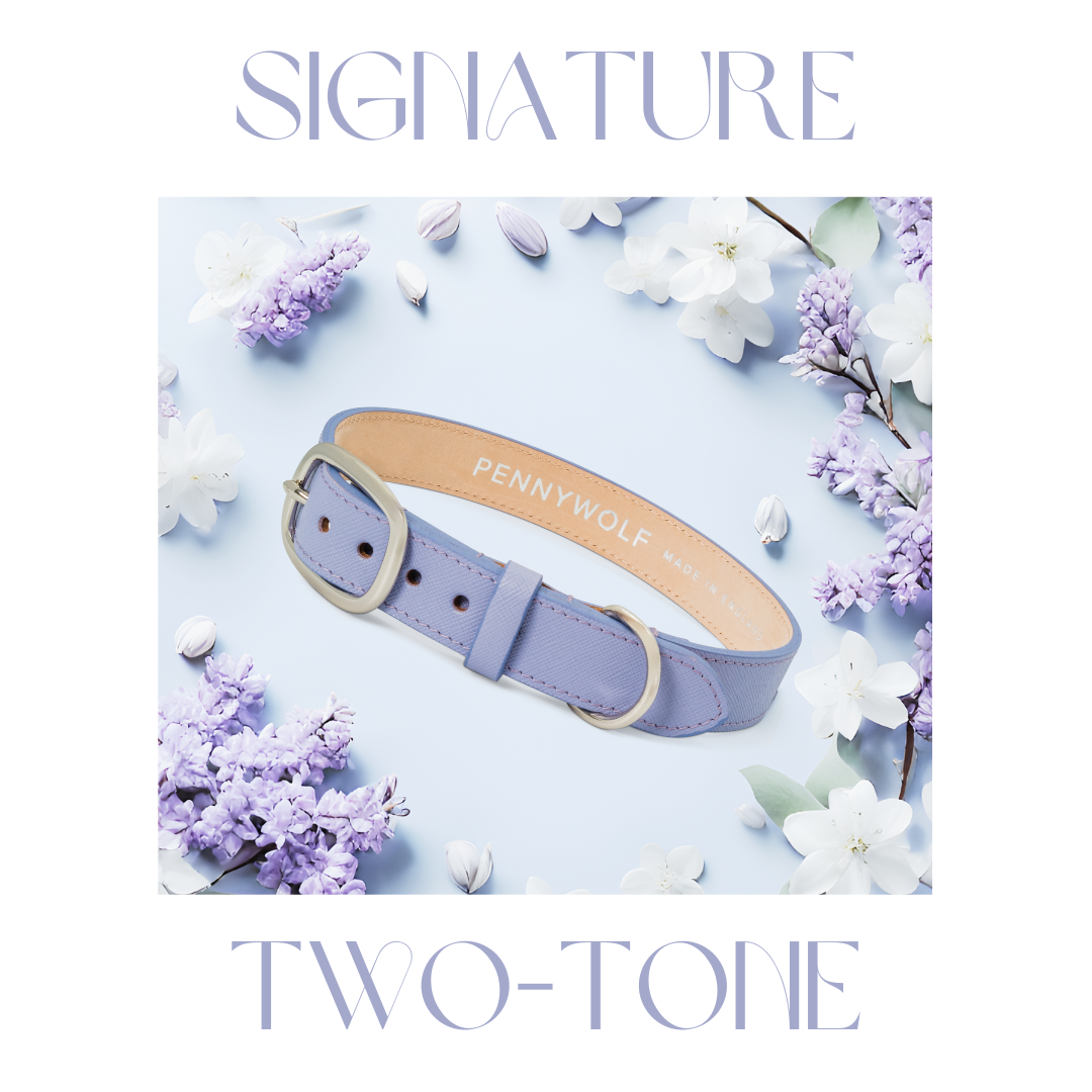 Signature Two-Tone Collection – PENNYWOLF