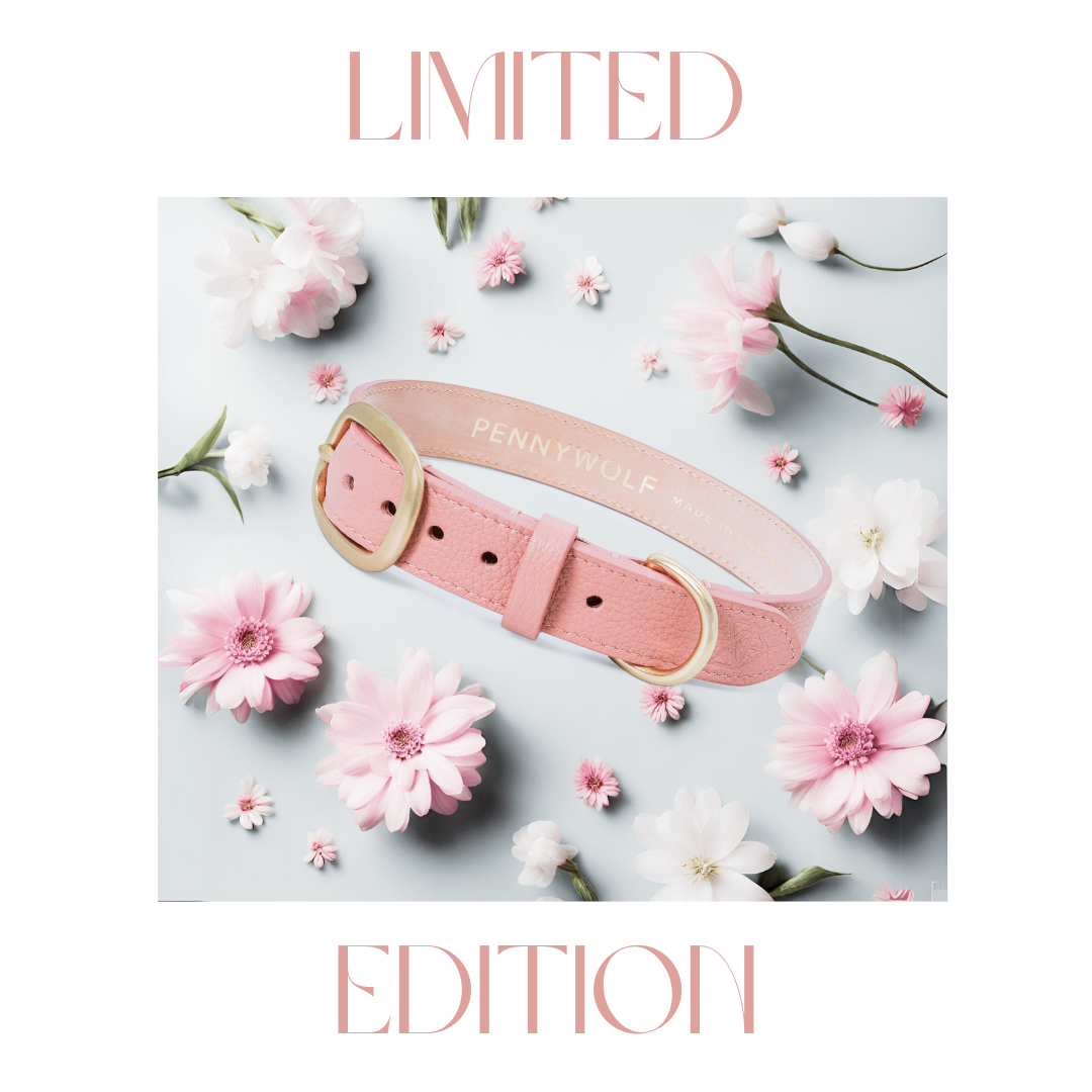 Limited Edition – PENNYWOLF