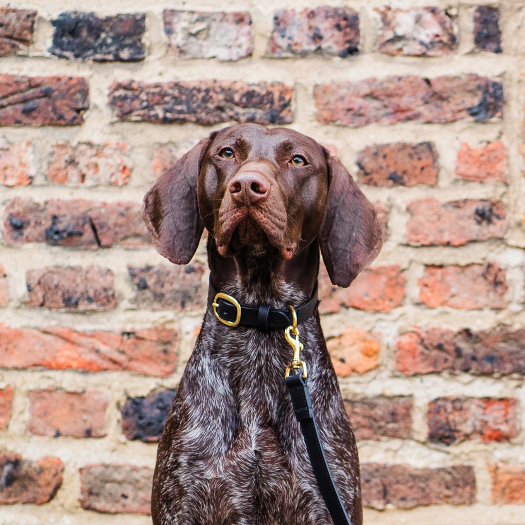 Autumn/Winter – PENNYWOLF